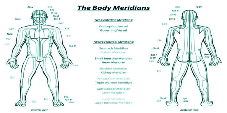 Meridian Charts - Dr Rosey Traditional Chinese Medicine